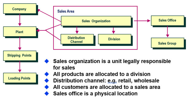 SAP SD (Sales & Distribution) Module : Virtuo Tech Team